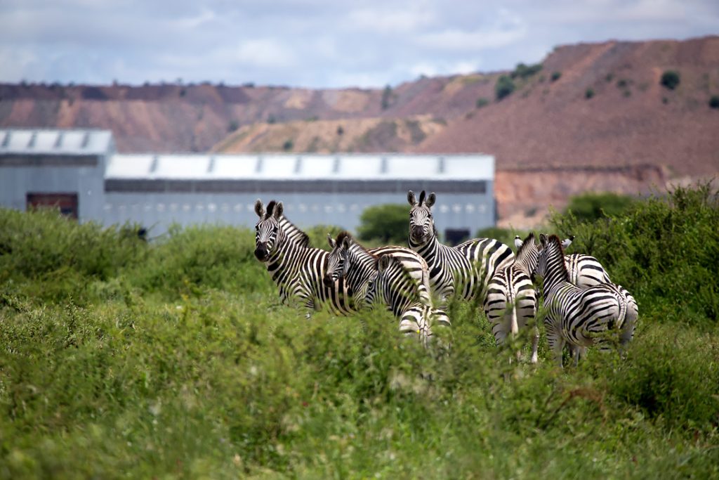 Safety – Debswana