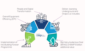 Citizen Economic Empowerment Programme – Debswana